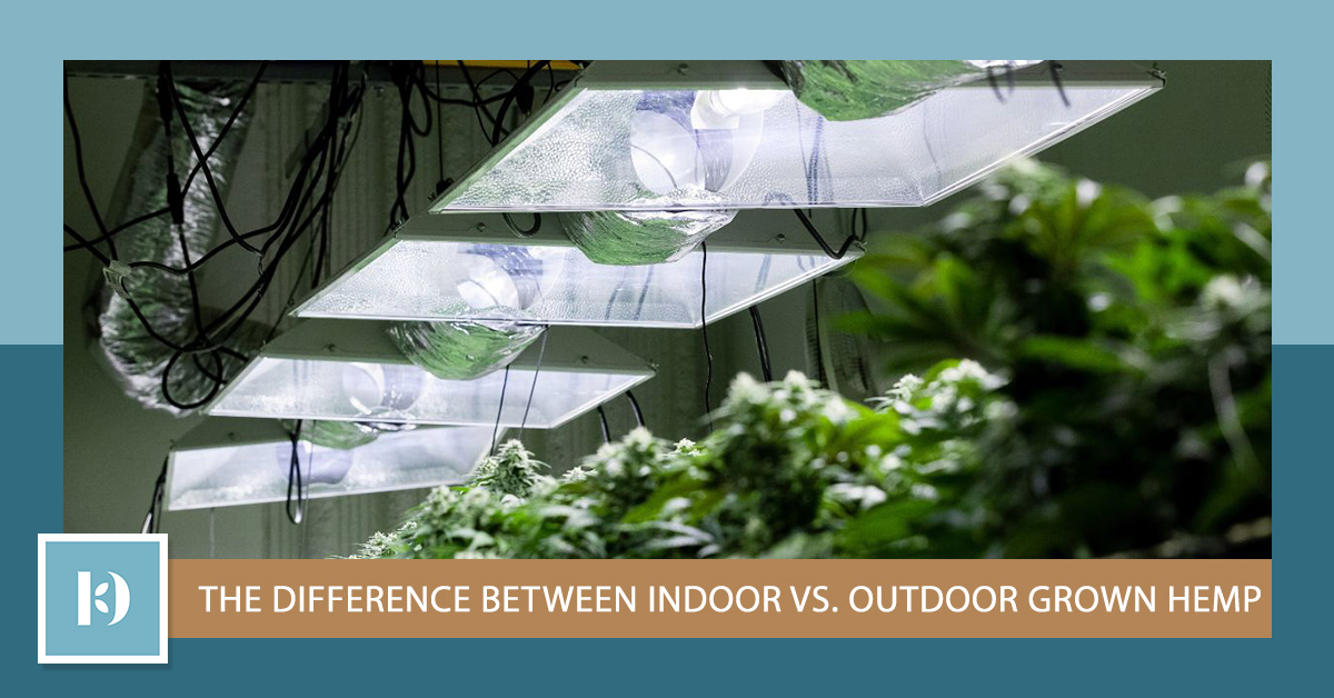 The Difference Between Indoor vs. Outdoor Grown Hemp | Danu
